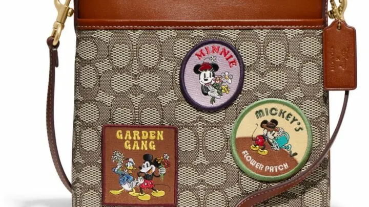 Best Crossbody Bag for Disney World - Disney Insider Tips