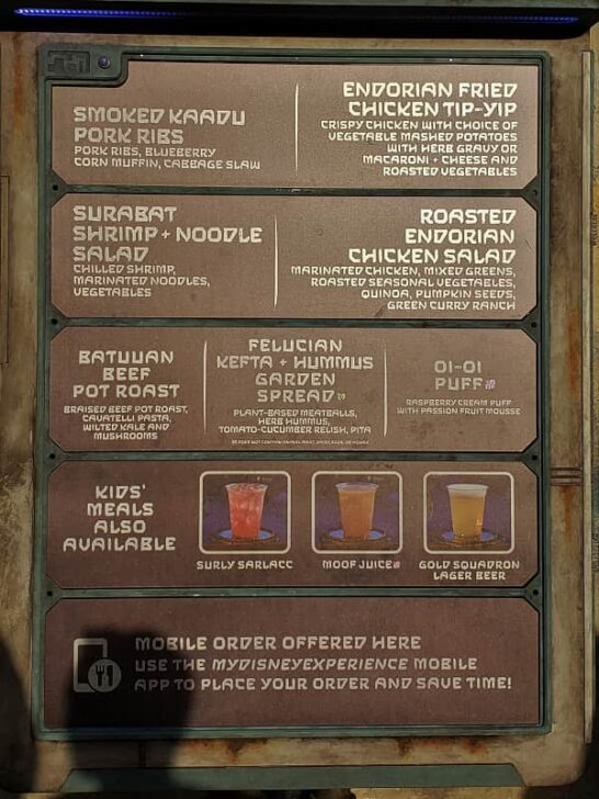 Things to do at Galaxy's Edge in Disney World