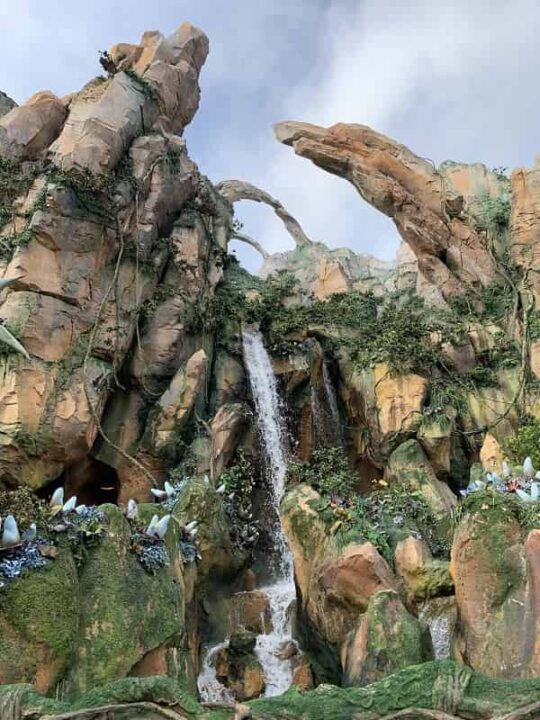 10 Things to Do at Pandora The World of Avatar