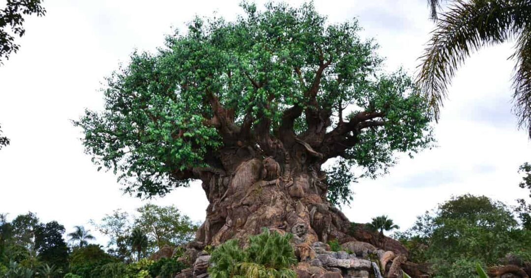 Ultimate Guide to the 4 Disney World Parks
