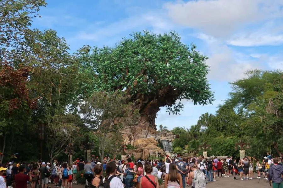 Guide to Disney World's Animal Kingdom - Disney Insider Tips
