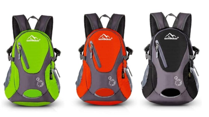 Don't Miss the Disneyland Paris Parade - Disney Insider Tips