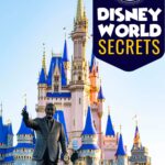 20 Best Disney World Secrets Disney Insider Tips
