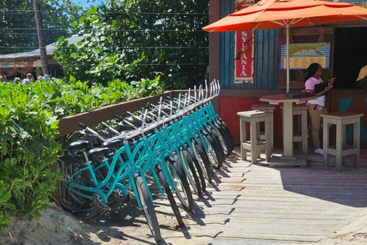 Guide to Disney's Private Island: Castaway Cay - Disney Insider Tips