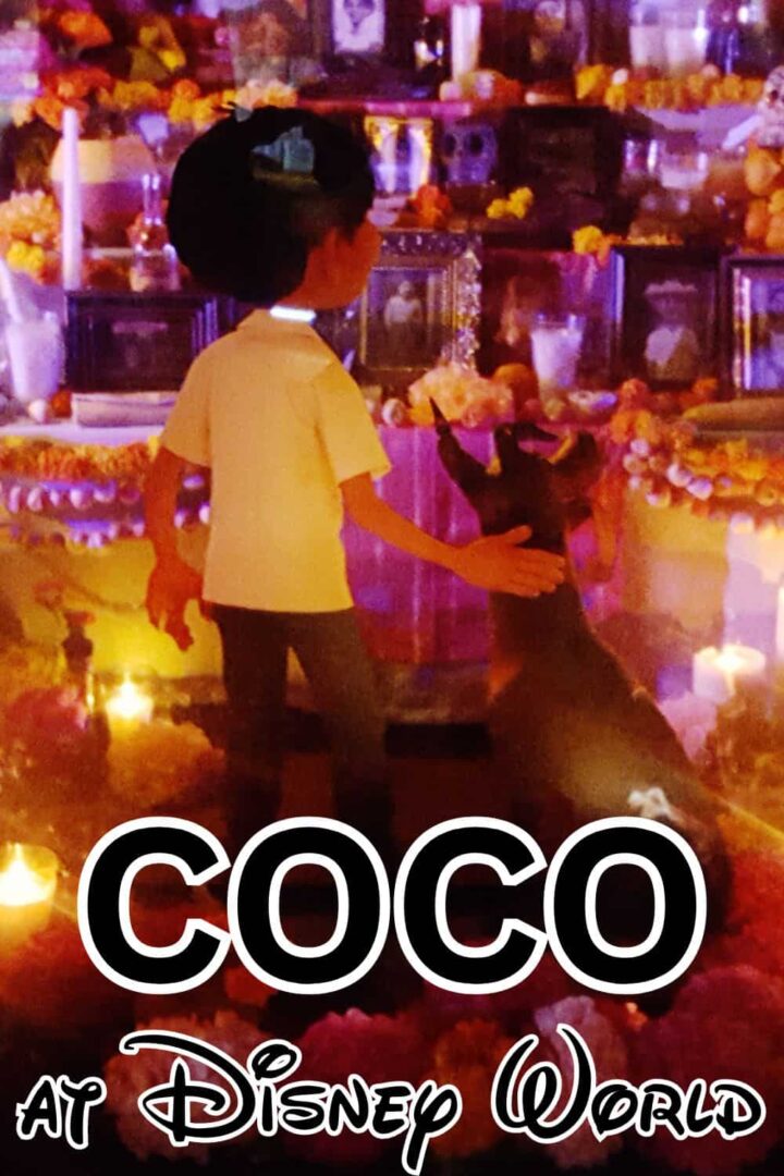 Where To Find Coco At Disney World