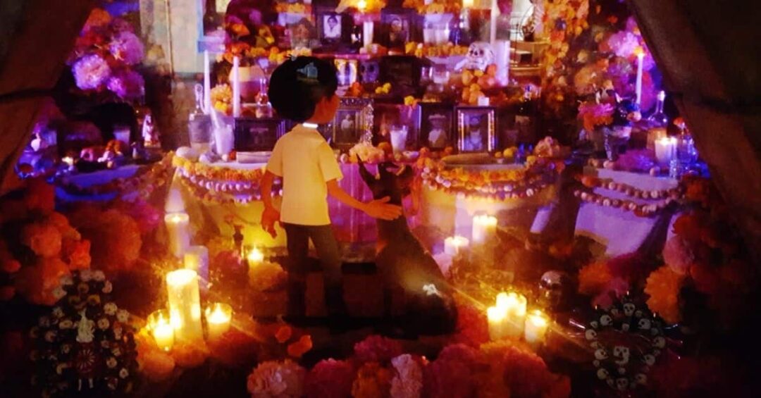 Where to See Coco at Disney World - Disney Insider Tips