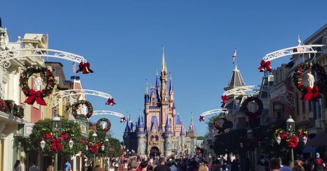 Guide to Going to Disney World in November