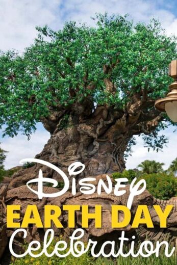 Disney Earth Day Celebration at Animal Kingdom