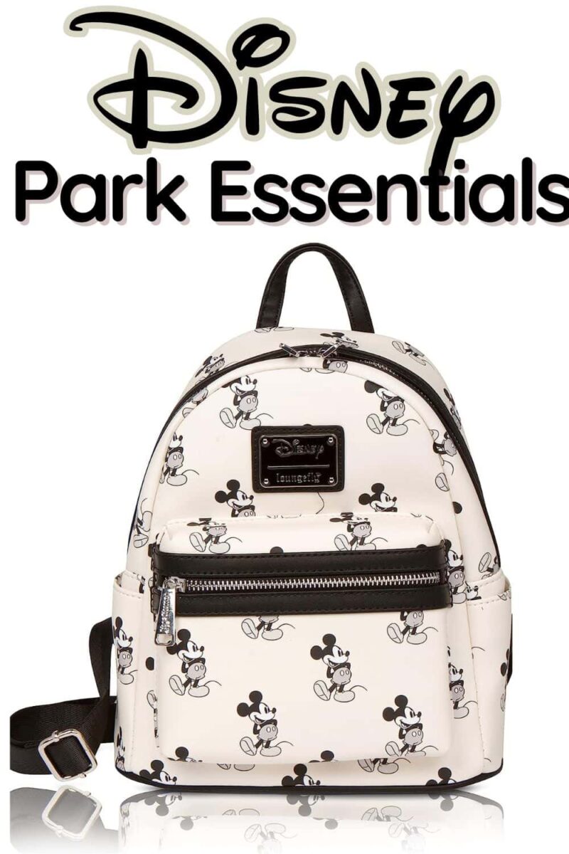 What to Pack for a Day at Disney (Park Essentials) - Disney Insider Tips