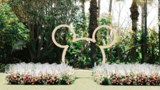 8 Unique Disney Souvenir Ideas