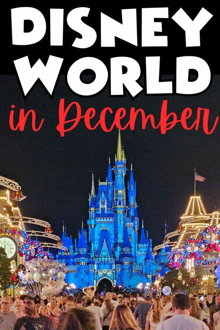 Guide To Going To Disney World In December