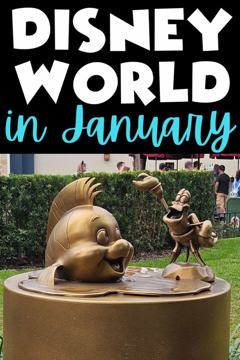 Guide to Going to Disney World in January 2026