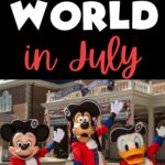 Guide to Going to Disney World in July - Disney Insider Tips
