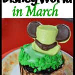 Guide to Going to Disney World in March - Disney Insider Tips