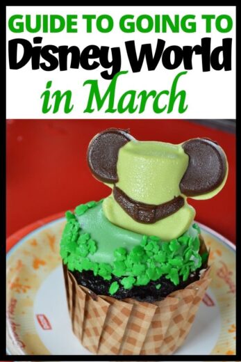 Guide to Going to Disney World in March