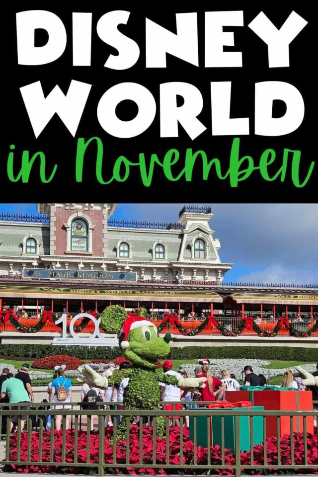 Guide To Going To Disney World In November