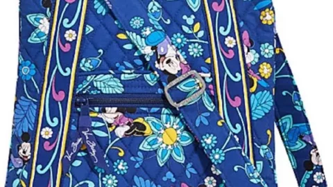 Vera Bradley Disney Bags (Current & Retired Prints)