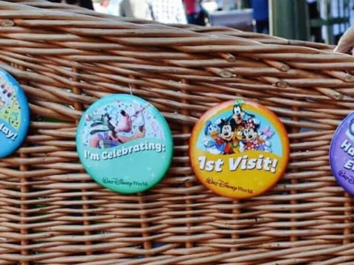 Walt Disney World Archives - Disney Insider Tips