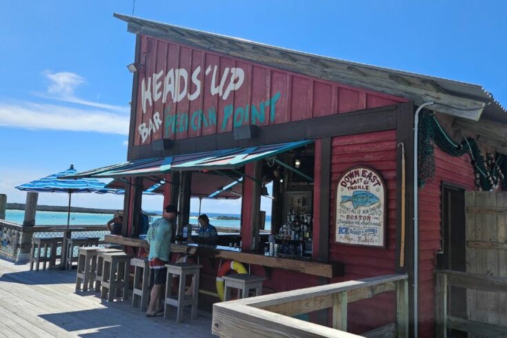 Guide to Disney's Private Island: Castaway Cay - Disney Insider Tips