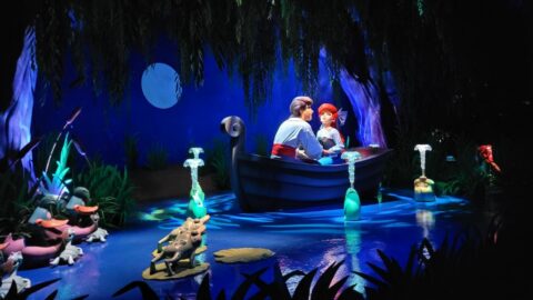 Disney World - Disney Insider Tips