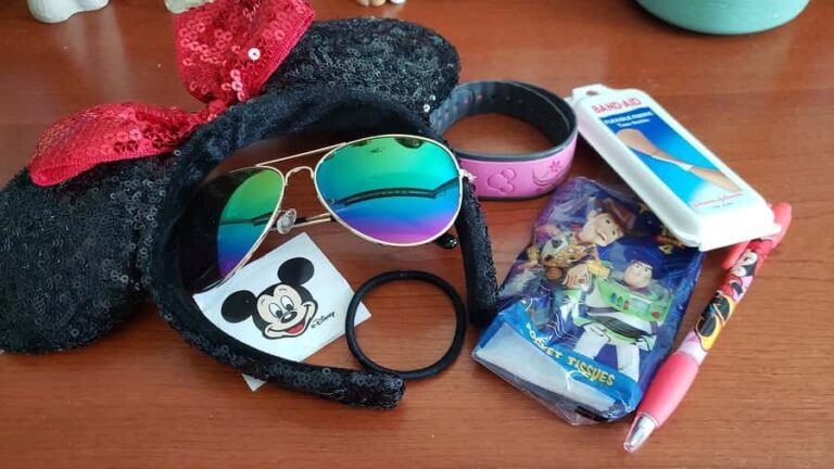 What to Pack for a Day at Disney: 15 Disney Must-Have Items