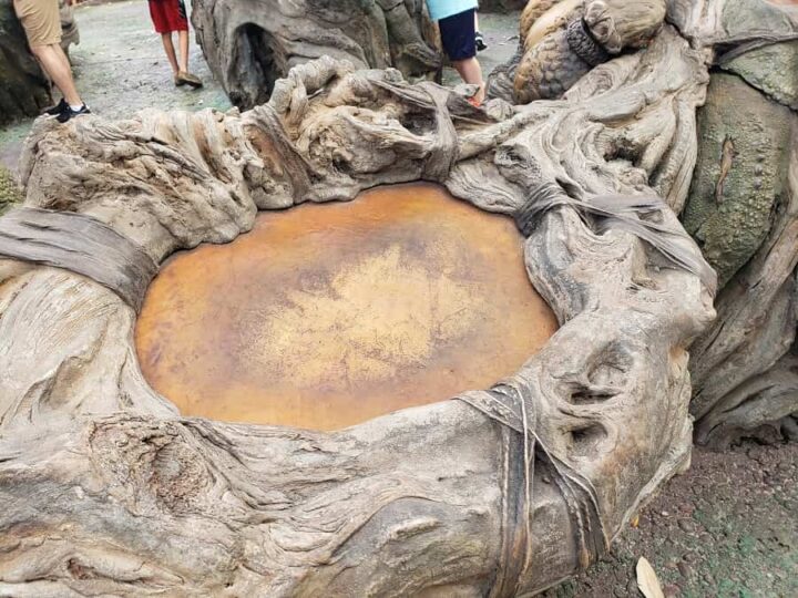 10 Things To Do At Pandora The World Of Avatar