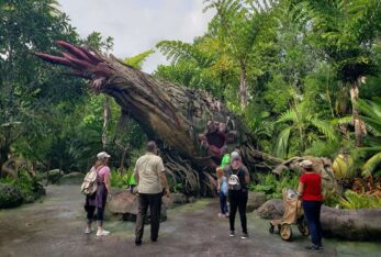 10 Things to Do at Pandora The World of Avatar