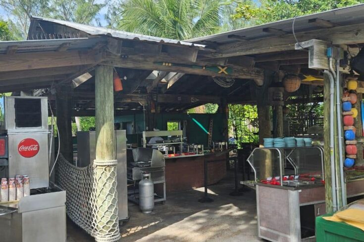 Guide to Disney's Private Island: Castaway Cay - Disney Insider Tips