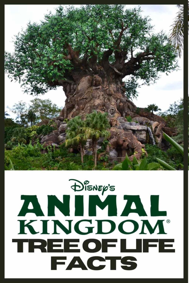 10 Animal Kingdom Tree of Life Facts