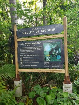 10 Things to Do at Pandora The World of Avatar