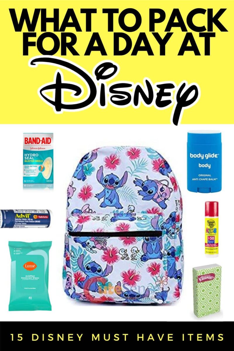 What To Pack For A Day At Disney: 15 Disney Must-Have Items