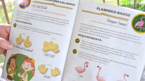 Guide to Animal Kingdom (Map, Tips & More) - Disney Insider Tips