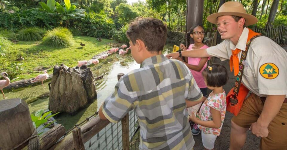 Animal Kingdom Wilderness Explorers Program